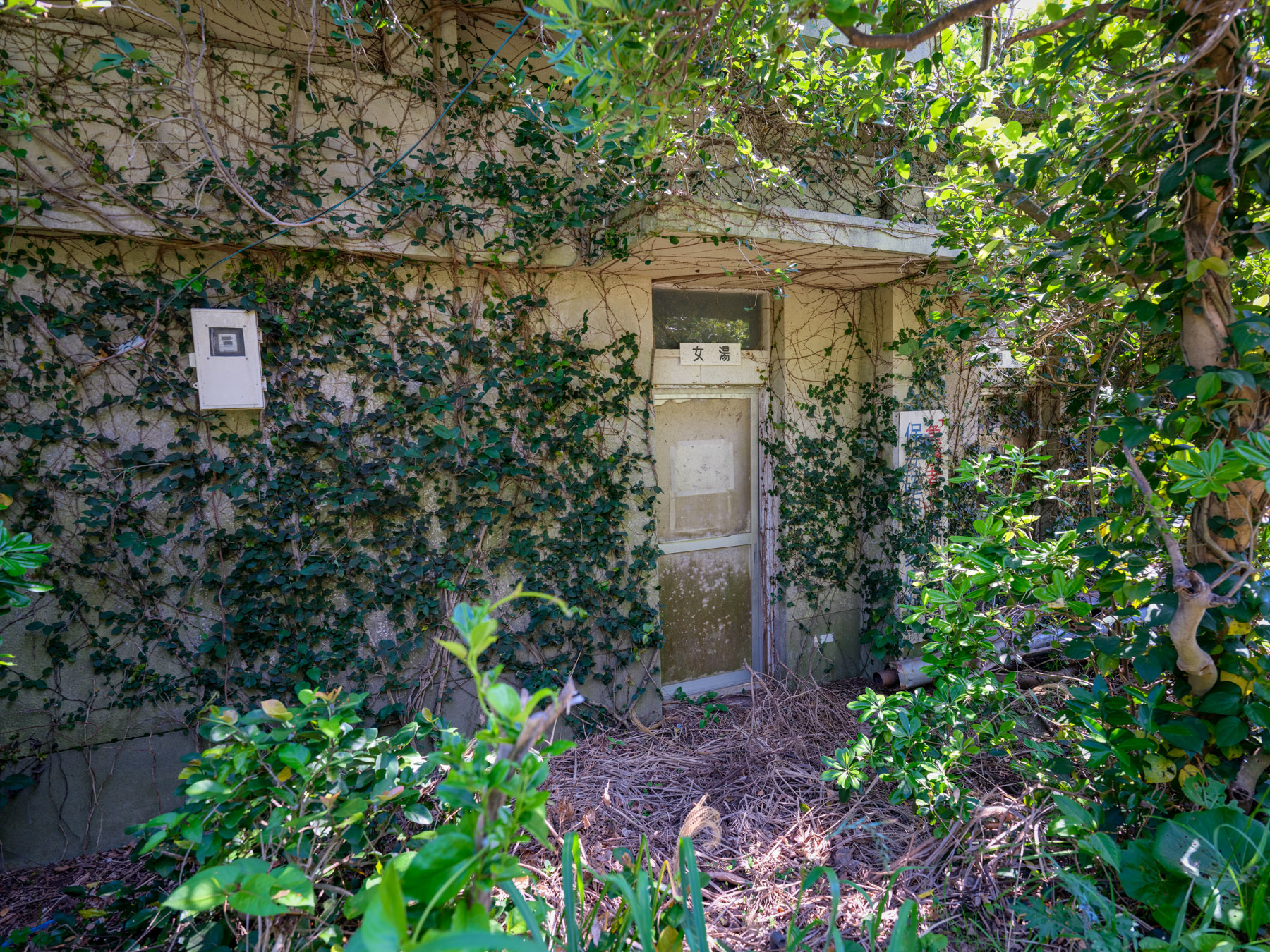 Ikeshima - Haikyo: Abandoned Japan
