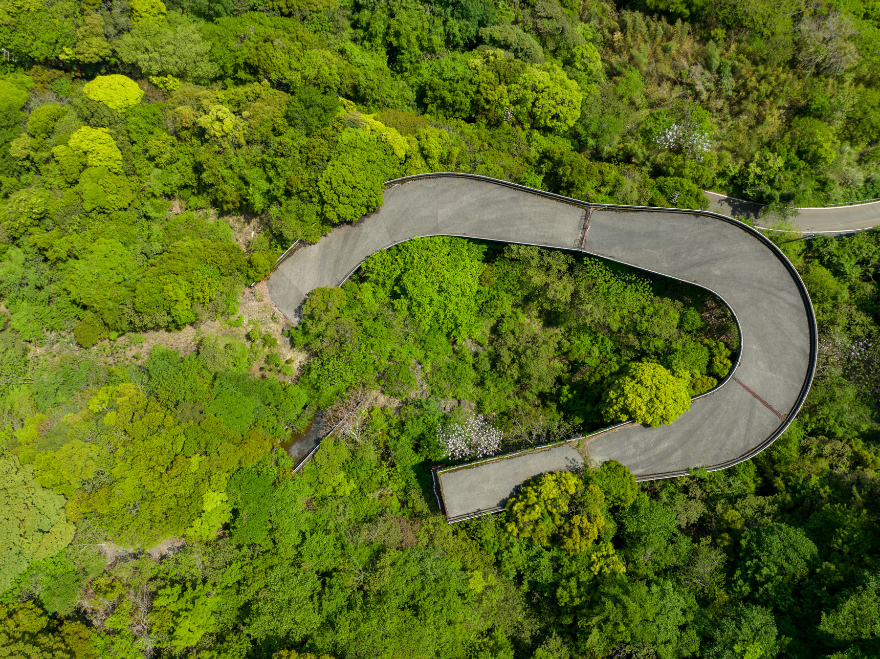 Loop Bridge | Haikyo: Abandoned Japan